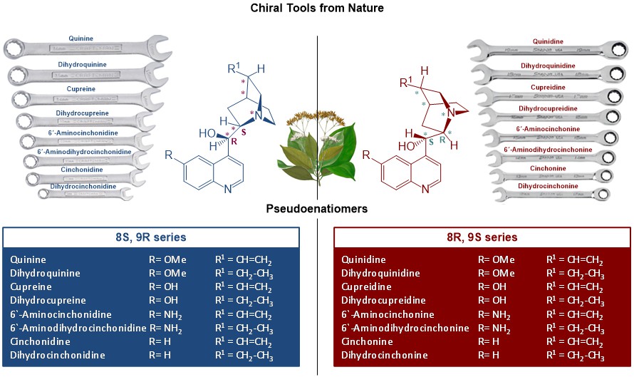 Cinchona Alkaloids - Buchler GmbH